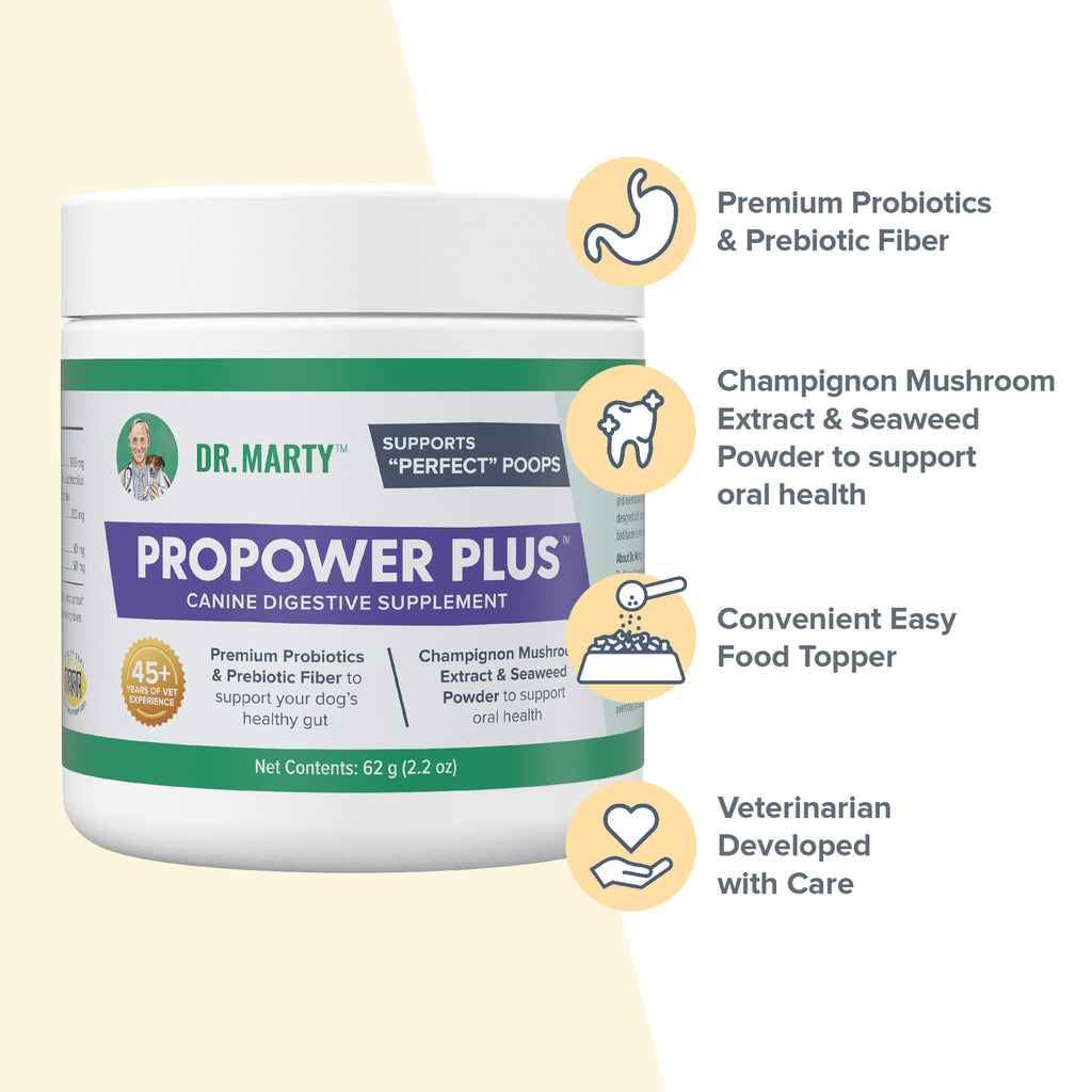 Dr Marty Propower Plus