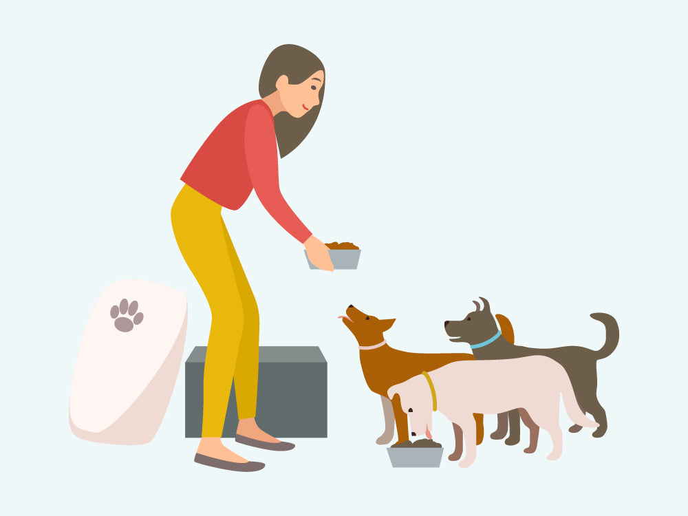 Top 5 Ways to Volunteer for Pets in 2021 | Only Natural Pet