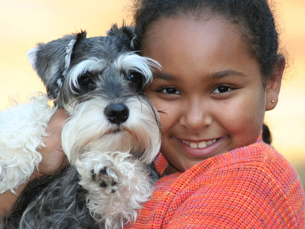 The Ultimate Guide to Hypoallergenic Dogs | Only Natural Pet