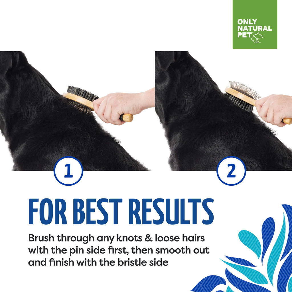 Pin Bristle Brush Combo for Dogs | Only Natural Pet