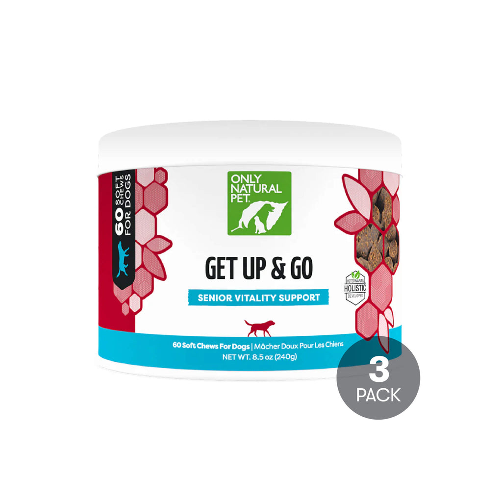 Get Up & Go with Corydalis for Dogs | Only Natural Pet