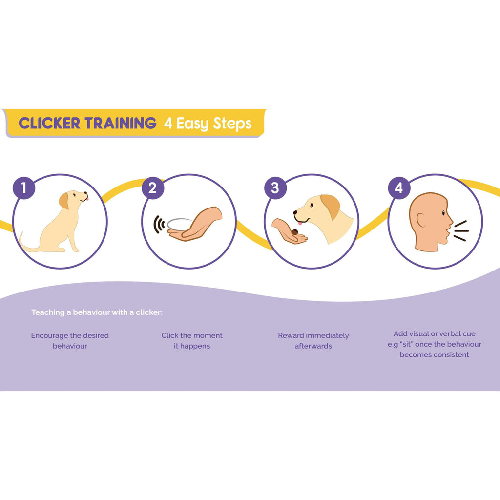 Company of Animals Multi-Clicker Dog Training Aid | Only Natural Pet