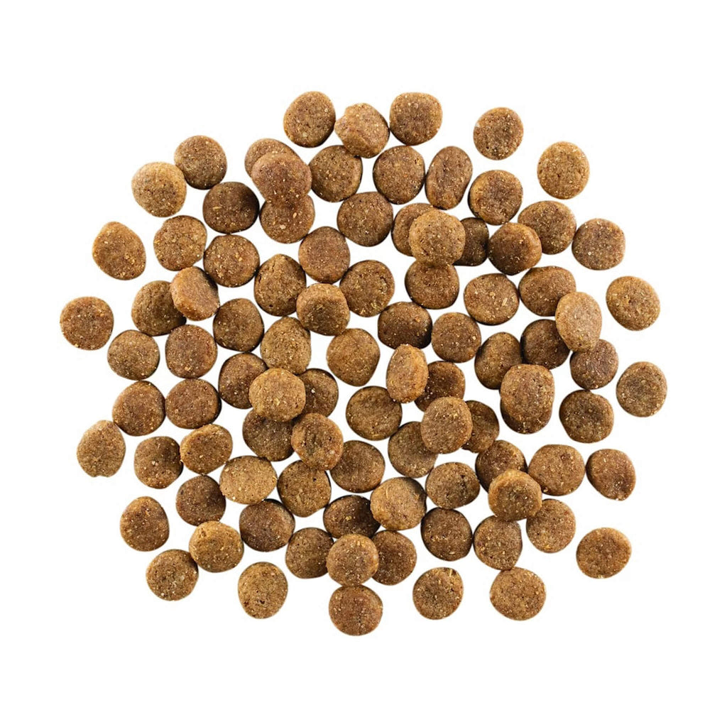 Petcurean GO! Skin and Coat Care Dry Dog Food | Only Natural Pet