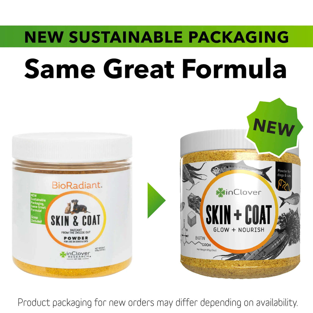 In Clover Skin & Coat Powder for Dogs & Cats | Only Natural Pet
