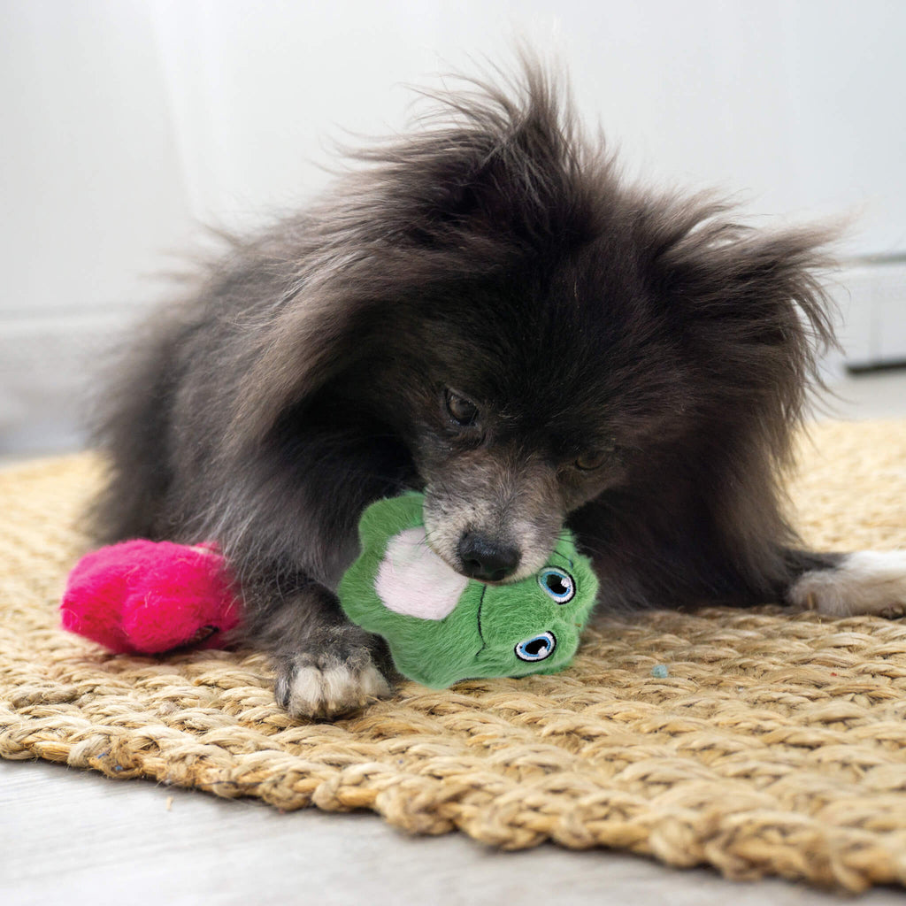 KONG Snuzzles Plush Dog Squeak Toys | Only Natural Pet
