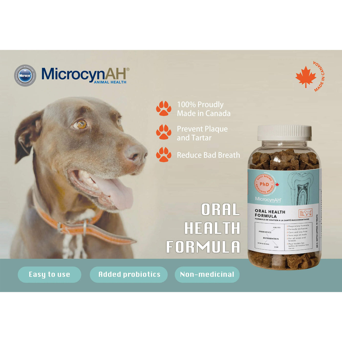 MicrocynAH PHD Oral Health Chews for Dogs | Only Natural Pet