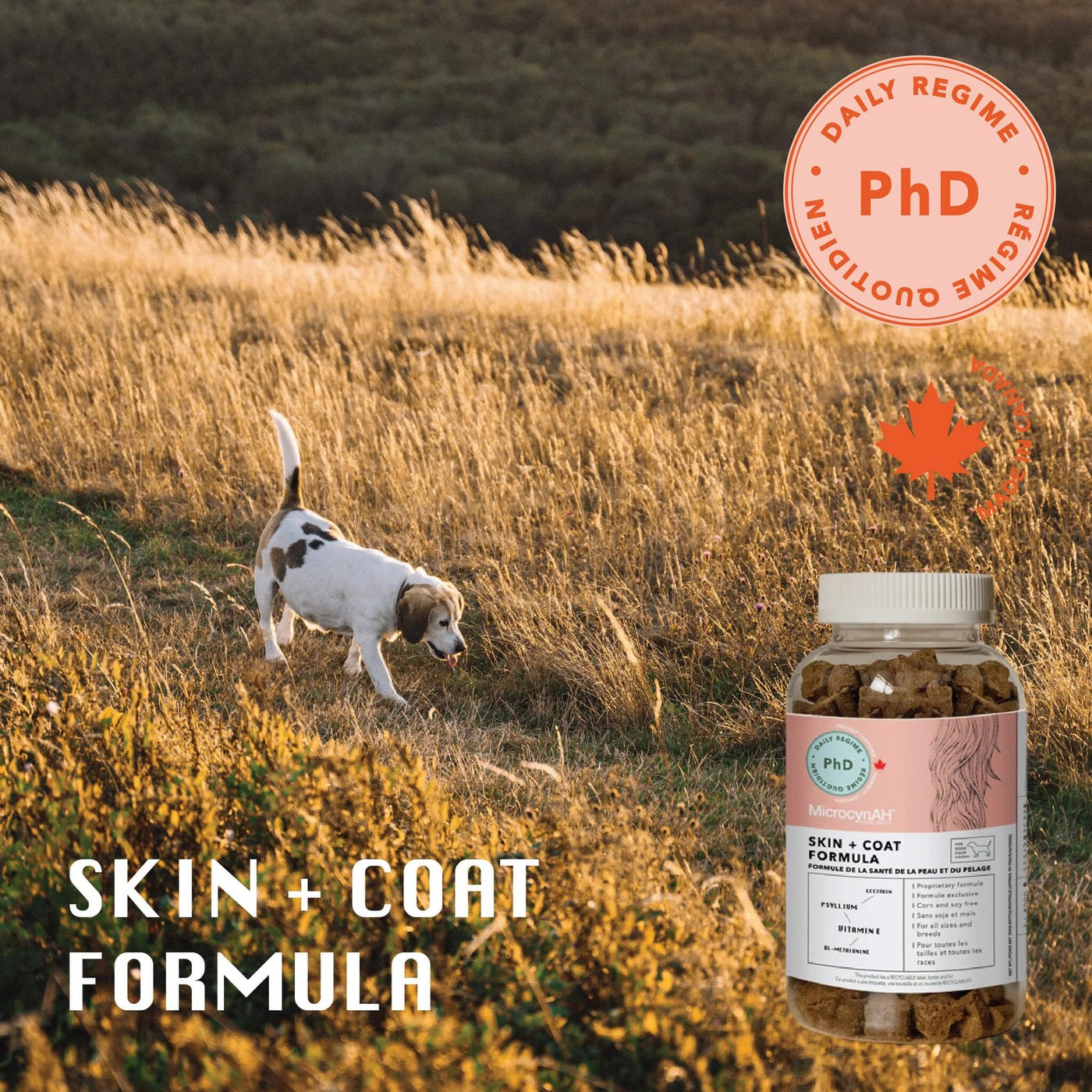 MicrocynAH PHD Skin & Coat Health Chews for Dogs | Only Natural Pet