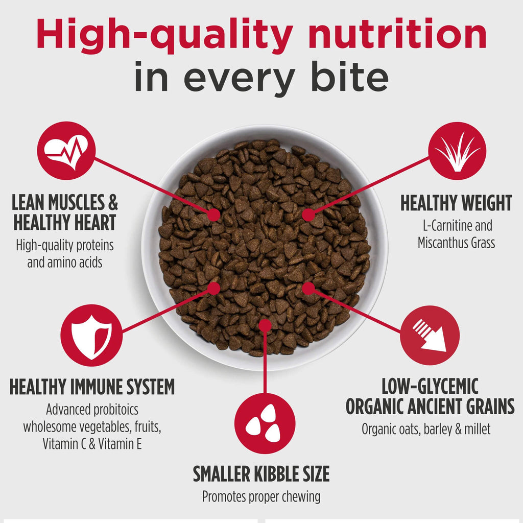 Nulo Challenger Small Breed Dry Dog Food | Only Natural Pet