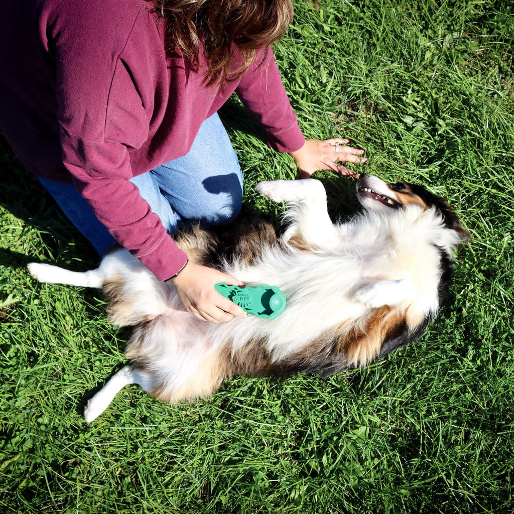 PetKore GroomBug Rubber Grooming Brush for Dogs | Only Natural Pet