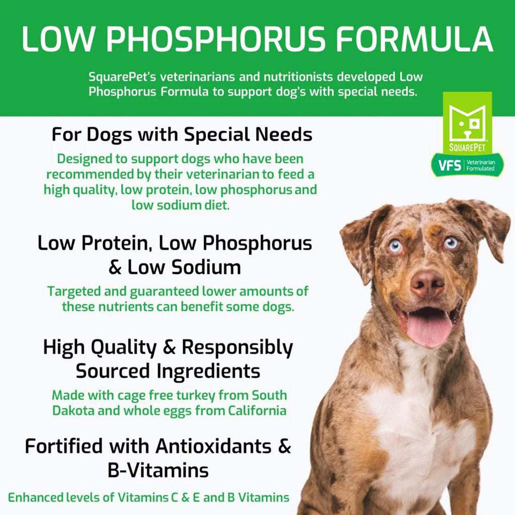 Square Pet VFS Low Phosphorus Formula Dry Dog Food | Only Natural Pet