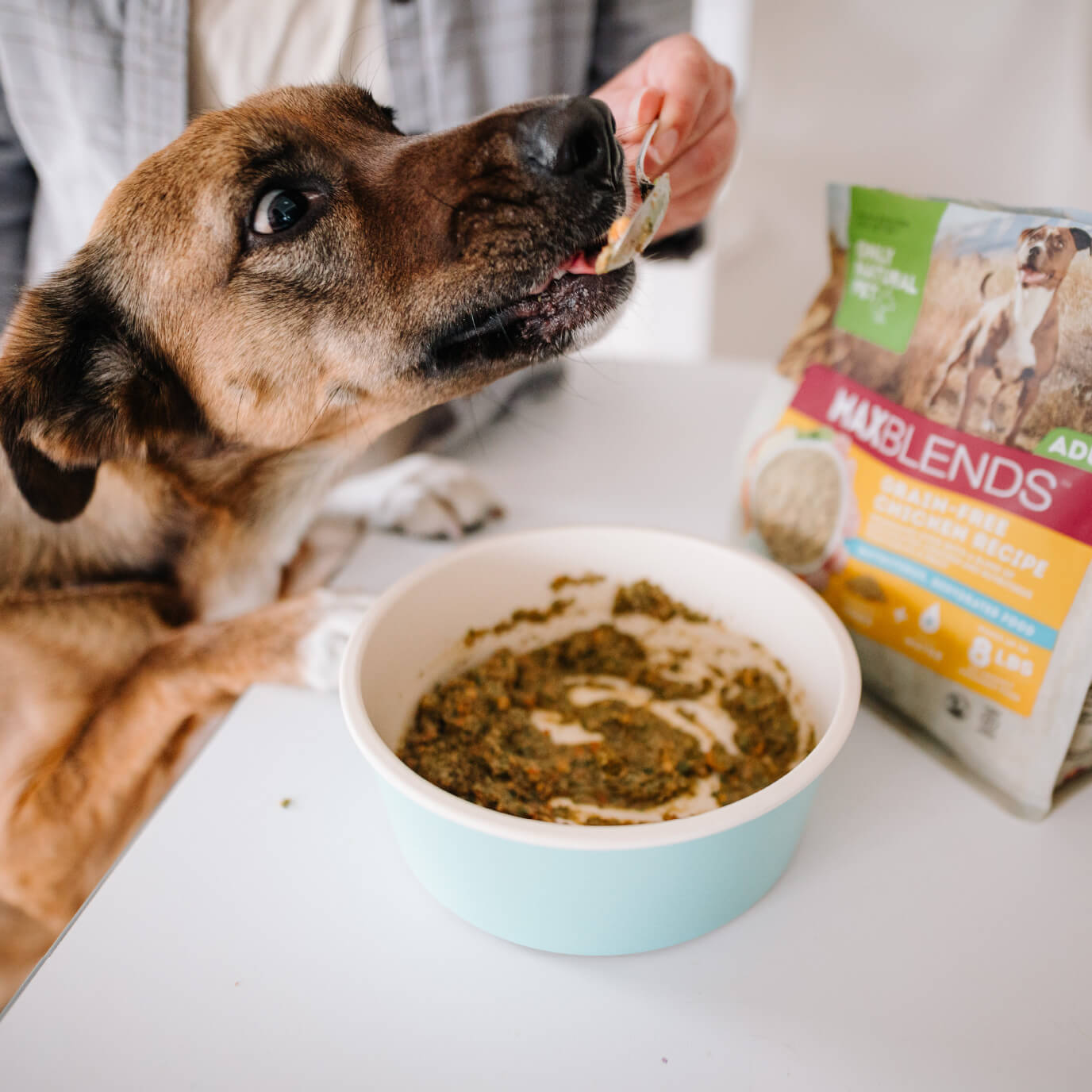 Healthy & Holistic Dog Food, Supplements & More | Only Natural Pet