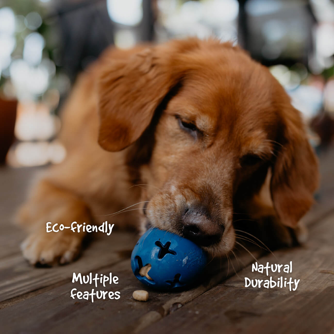 Eco-Friendly Dog Toys & Bowls – Only Natural Pet