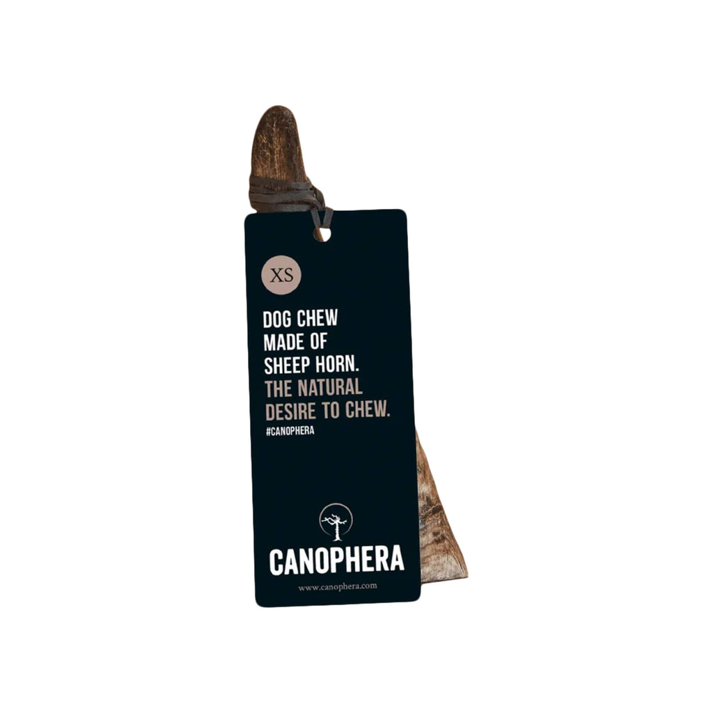 Canophera Sheep Horn Long Lasting Dog Chews | Only Natural Pet