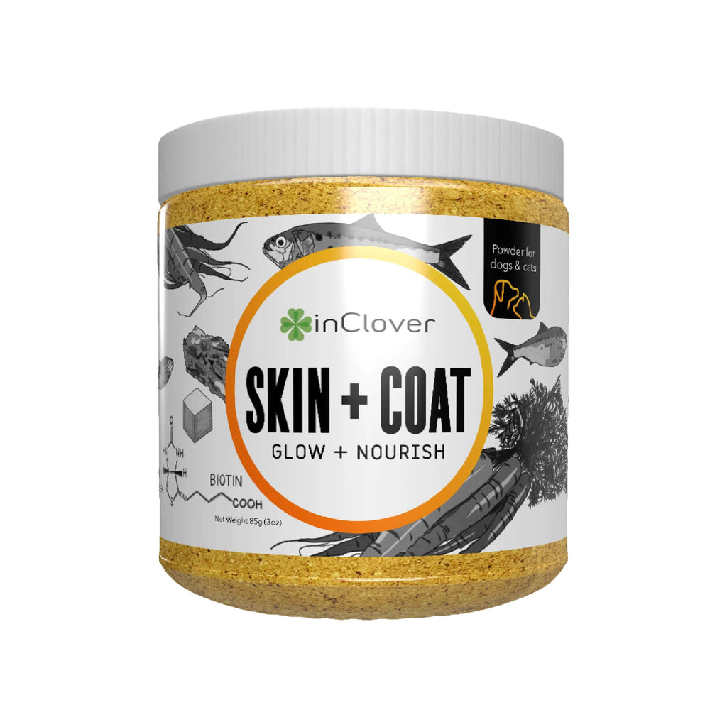 In Clover Skin & Coat Powder for Dogs & Cats | Only Natural Pet