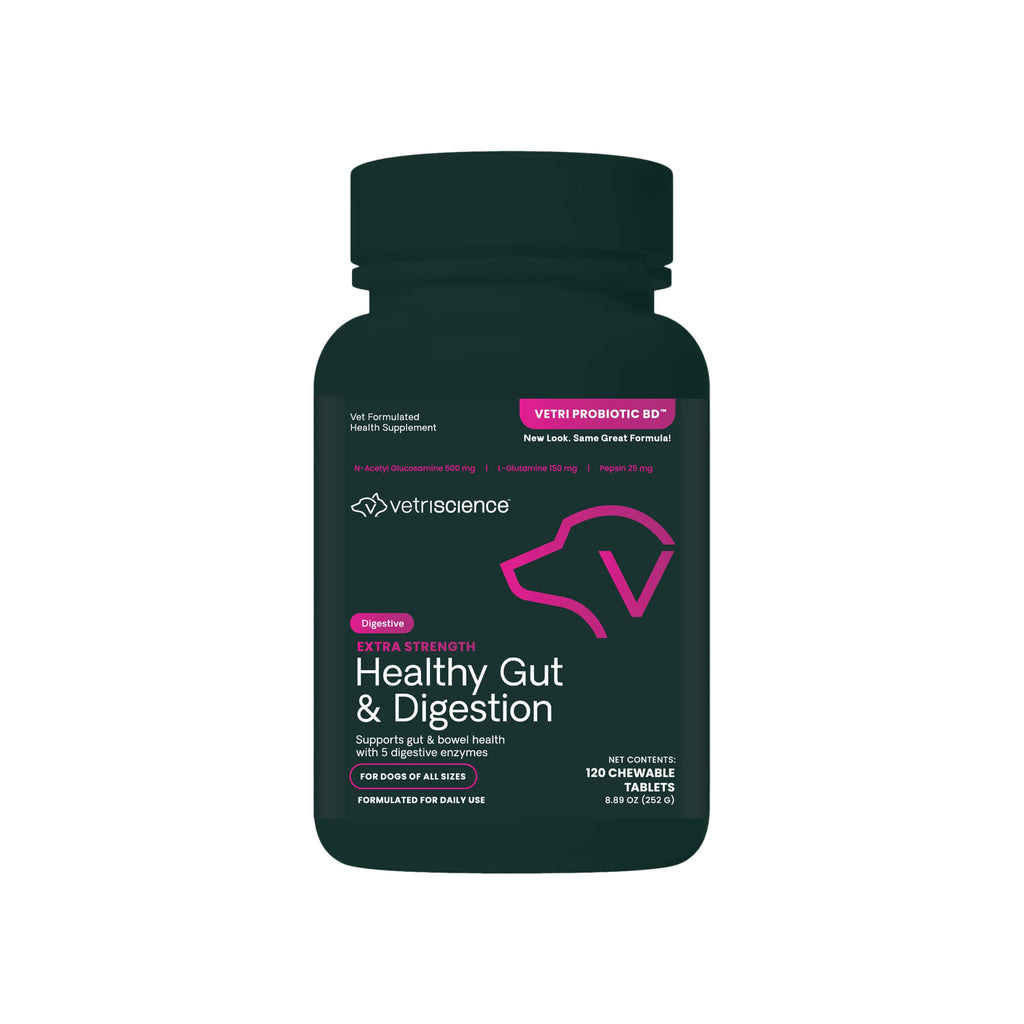 VetriScience Extra Strength Healthy Gut & Digestion | Only Natural Pet