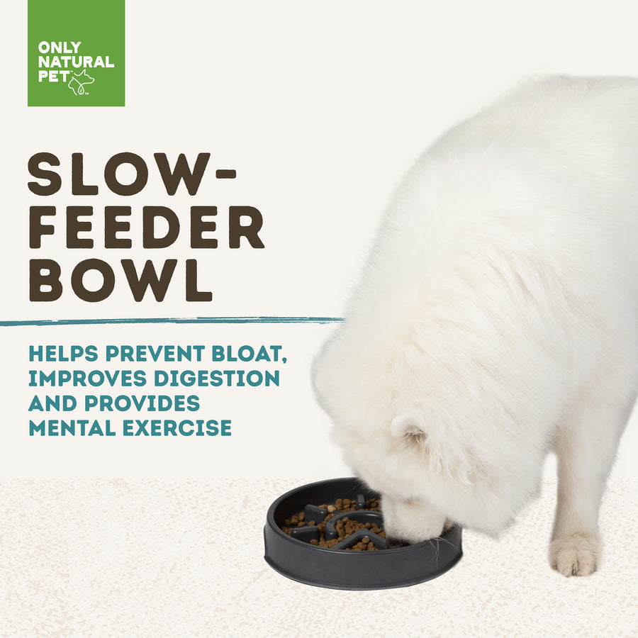 Sunup Eco-Friendly Slow-Feeder Dog Bowl | Only Natural Pet