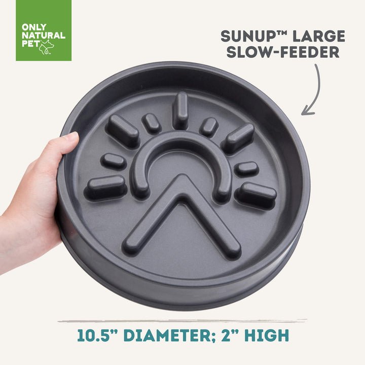 Sunup Slow-Feeder Dog Bowl | Only Natural Pet