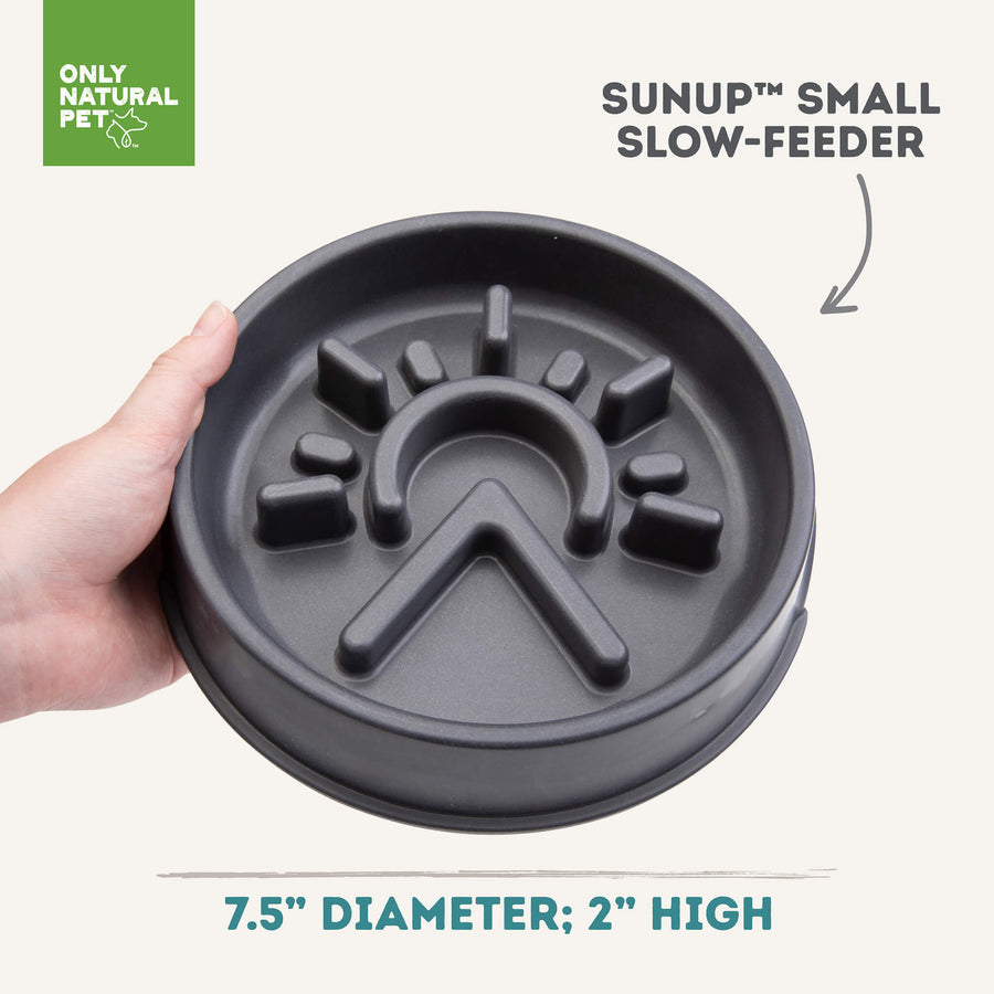 Sunup Eco-Friendly Slow-Feeder Dog Bowl | Only Natural Pet