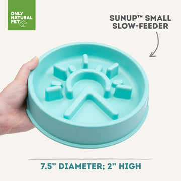Sunup Slow-Feeder Dog Bowl | Only Natural Pet