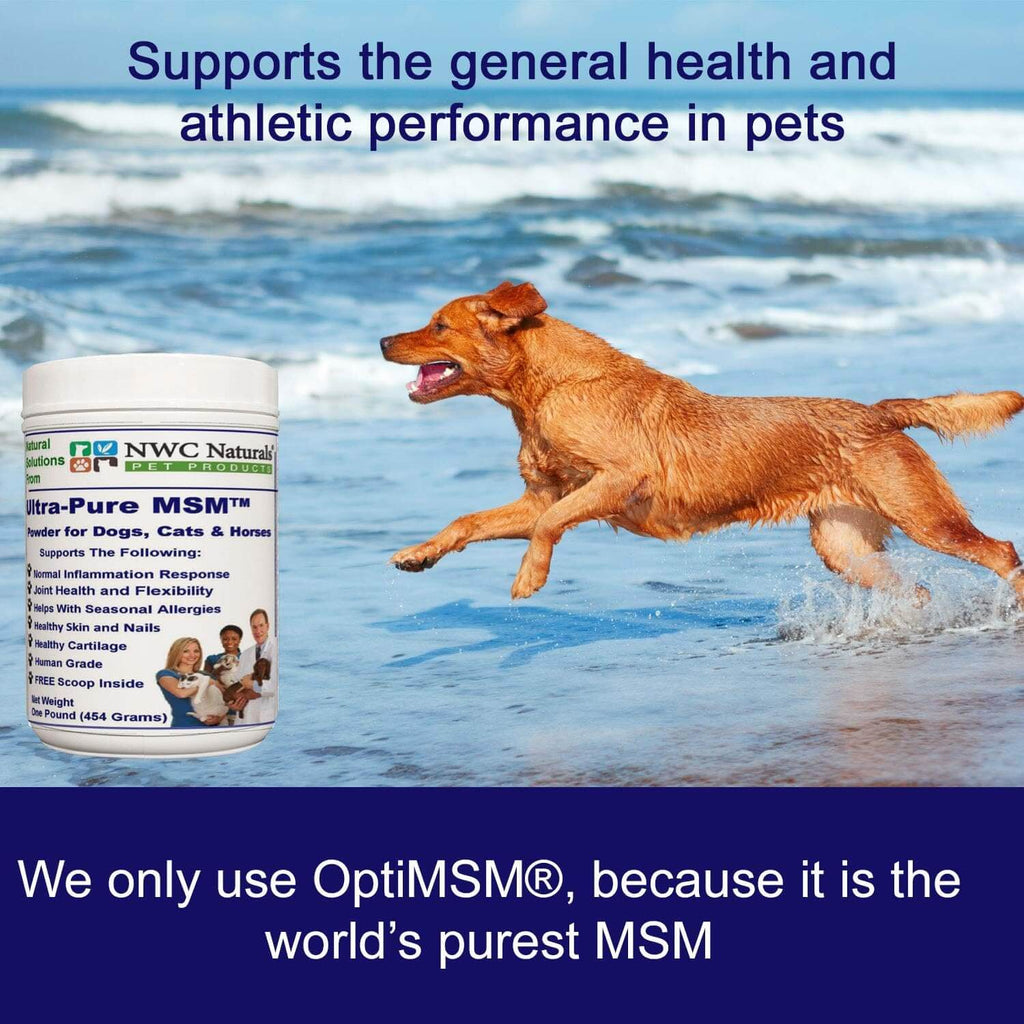 NWC Naturals Ultra-Pure MSM | Only Natural Pet