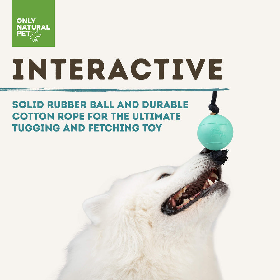 Natural Rubber Fetch & Tug Toys | Only Natural Pet