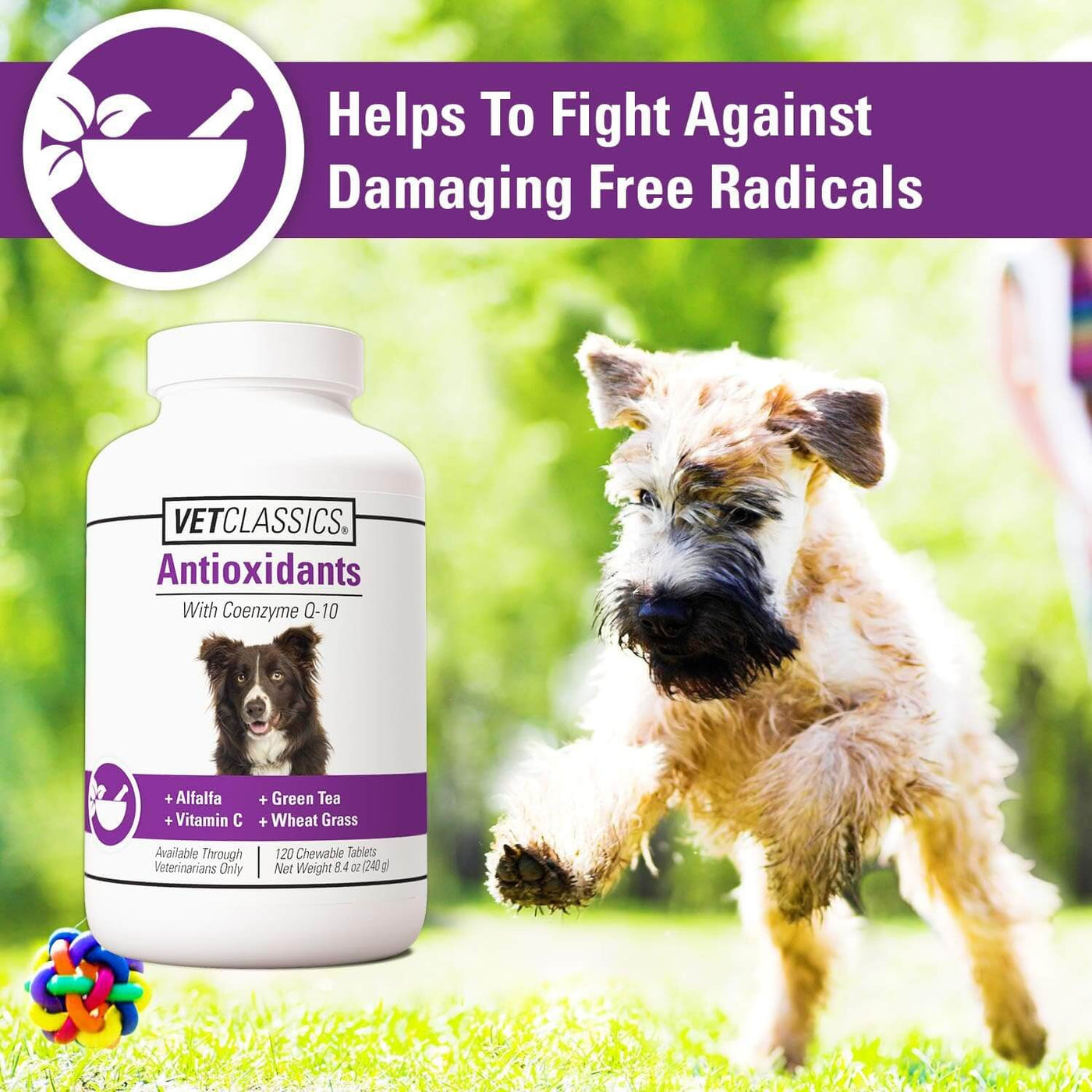 VetClassics Antioxidant Formula Dog Supplement | Only Natural Pet