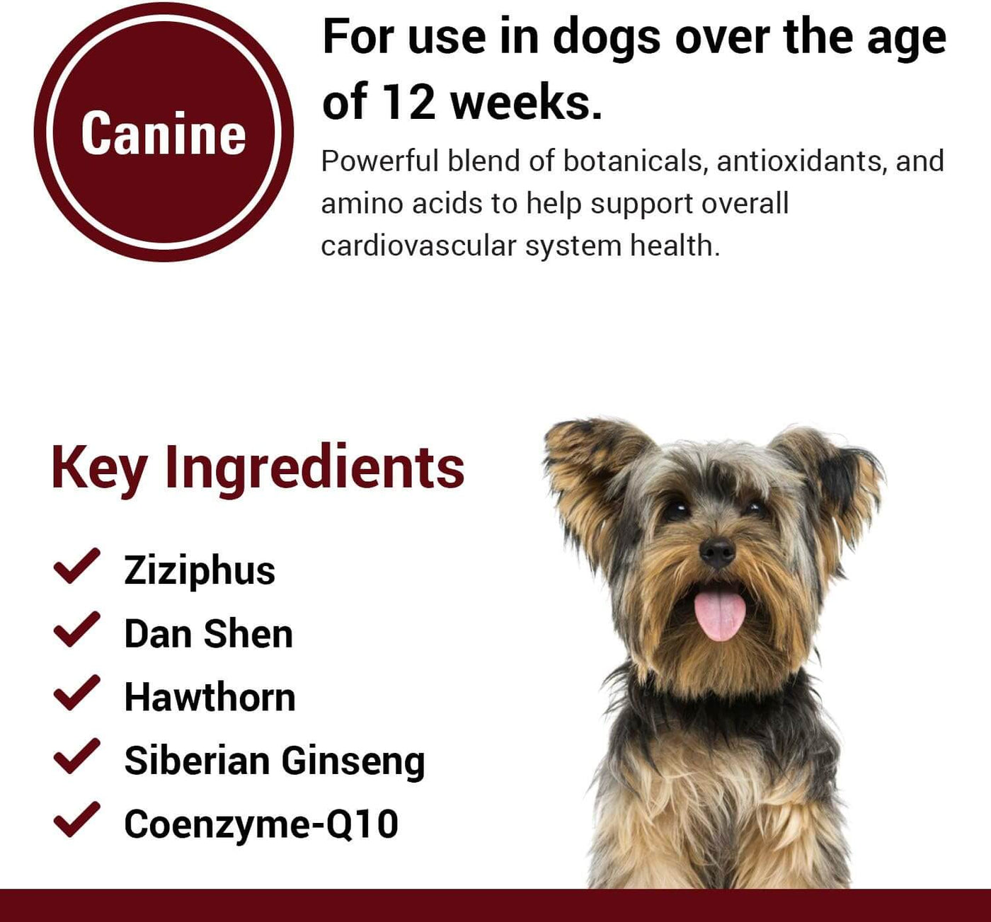 Antioxidant Supplements For Dogs CoQ-10 - Coenzyme Q10 - Supports ...
