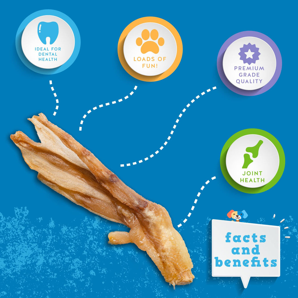 Bravo! Dry Roasted Duck Feet Dog Chews Bulk – Only Natural Pet