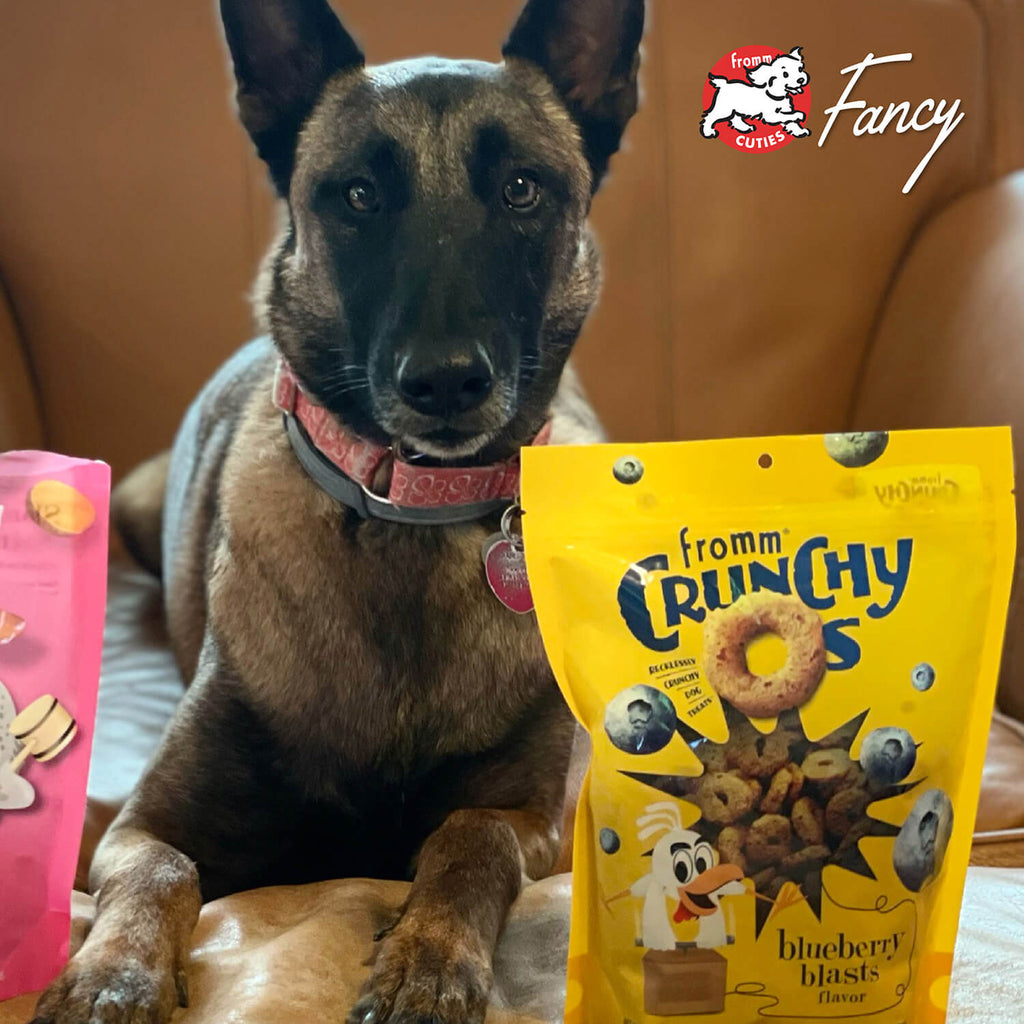 Fromm Crunchy Os Dog Treats | Only Natural Pet