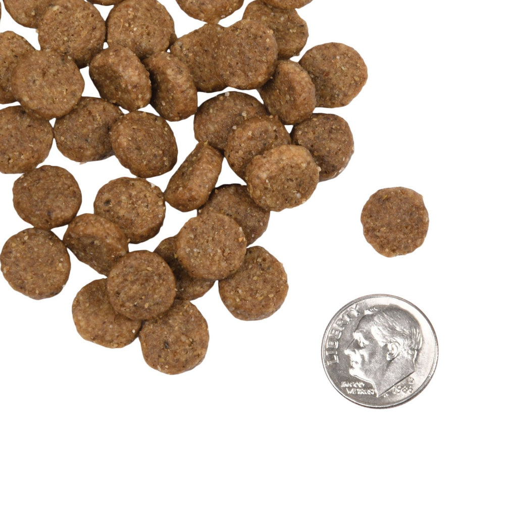 Fromm Classic Adult Formula Dry Dog Food | Only Natural Pet