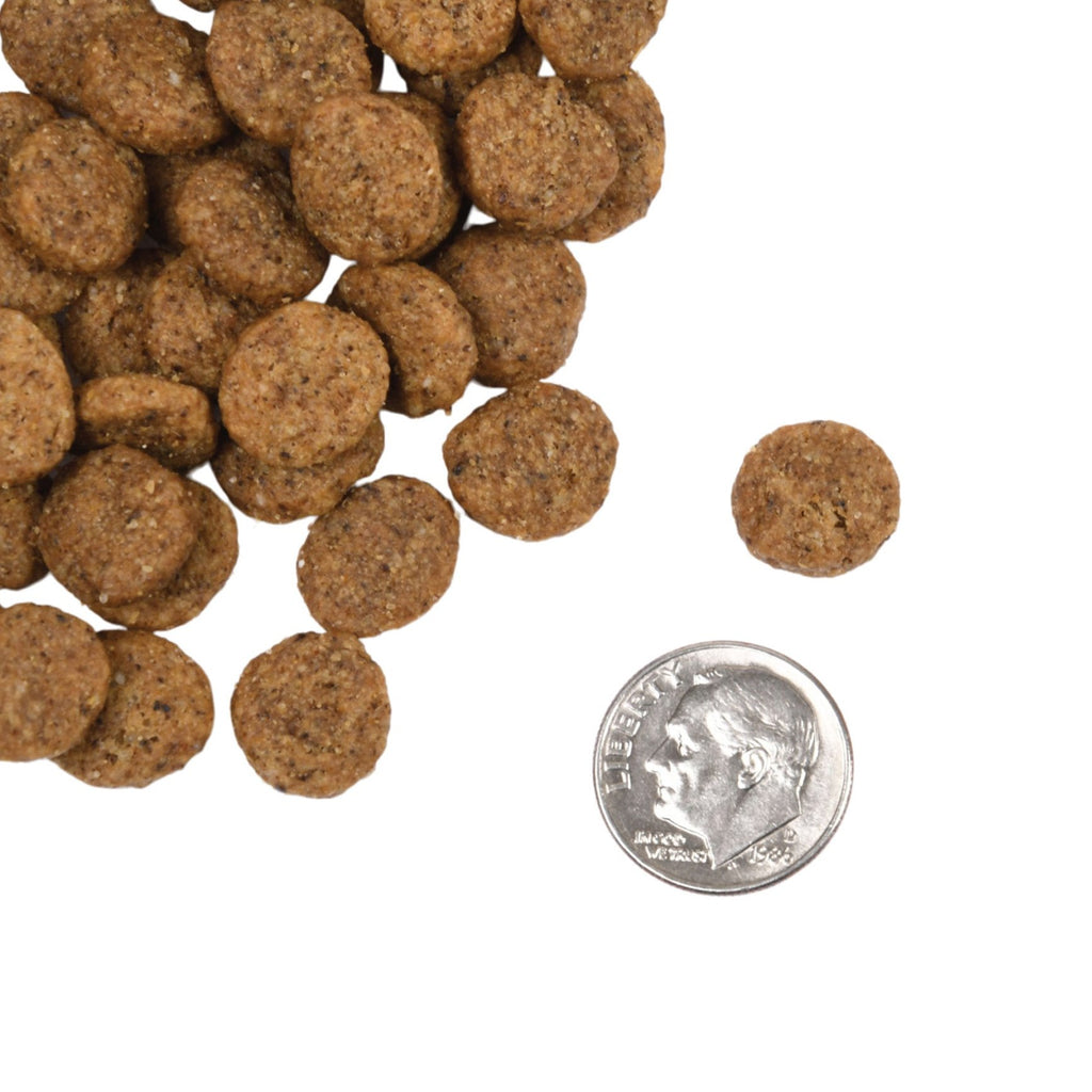 Fromm Classic Mature Formula Dry Dog Food | Only Natural Pet