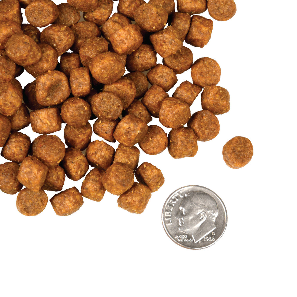 Fromm Four Star Game Bird Grain Free Recipe Dry Dog Food – Only Natural Pet