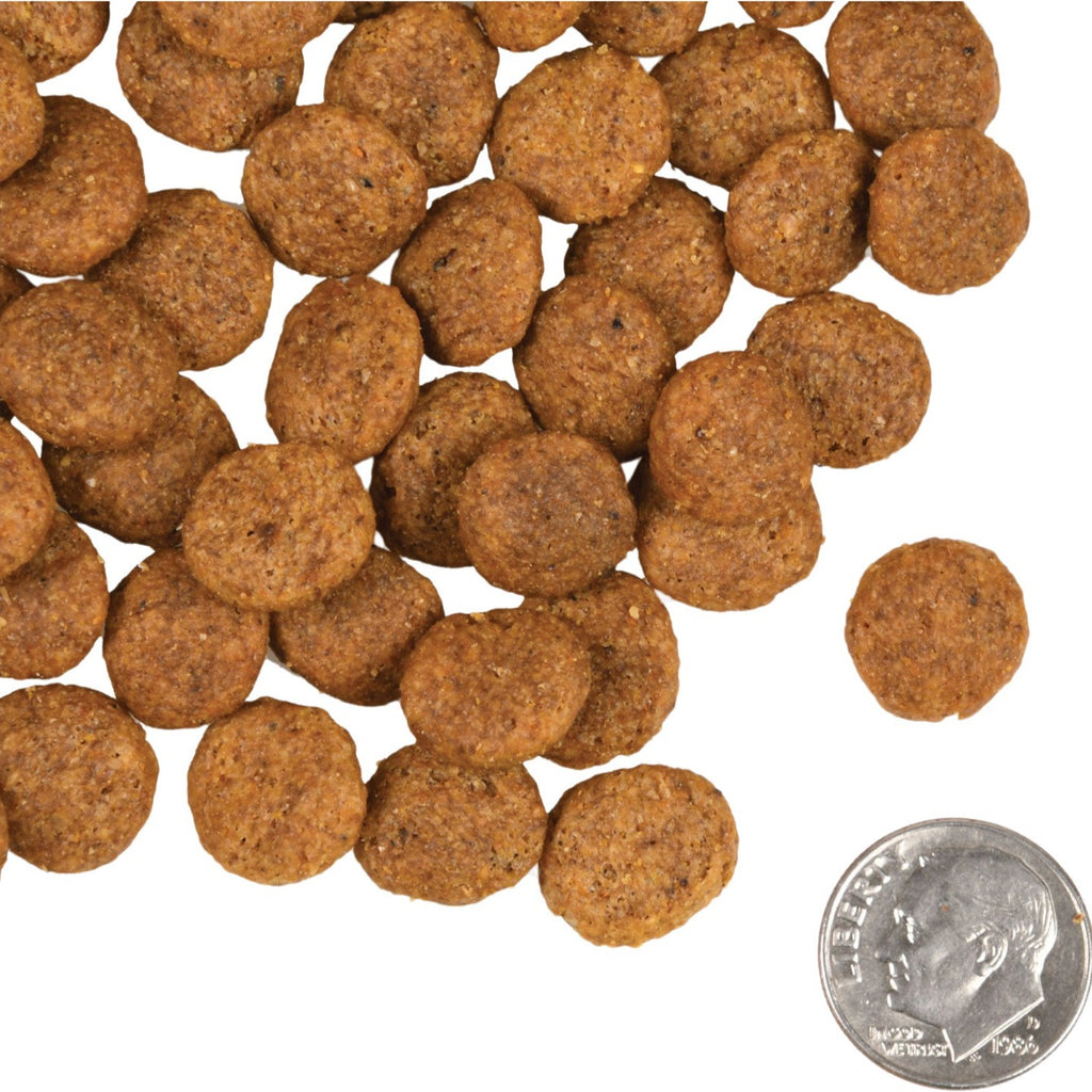 Fromm Gold Coast Weight Management Dry Dog Food | Only Natural Pet