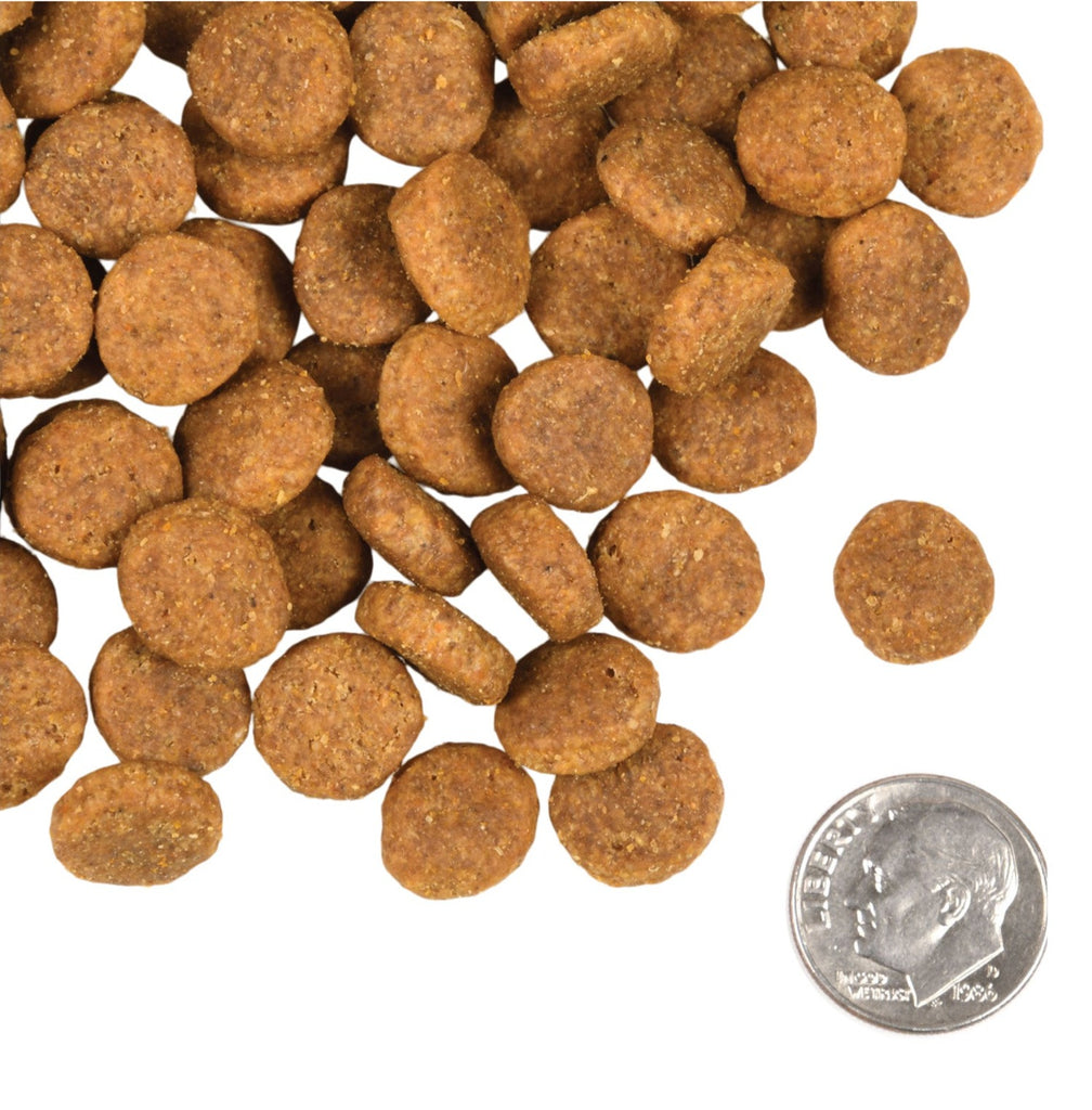 Fromm Heartland Gold Large Breed Adult Dry Dog Food | Only Natural Pet