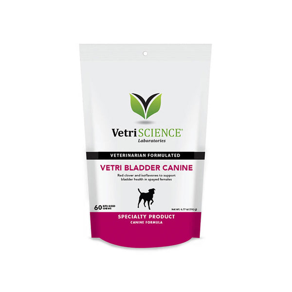 Home Remedies for Dog Incontinence | Only Natural Pet