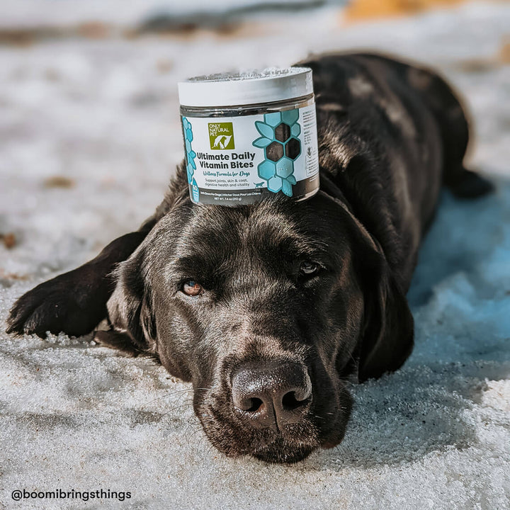 Natural Vitamins for Dogs | Only Natural Pet