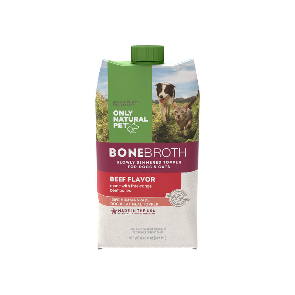 Are Dogs Bones Stronger Than Humans