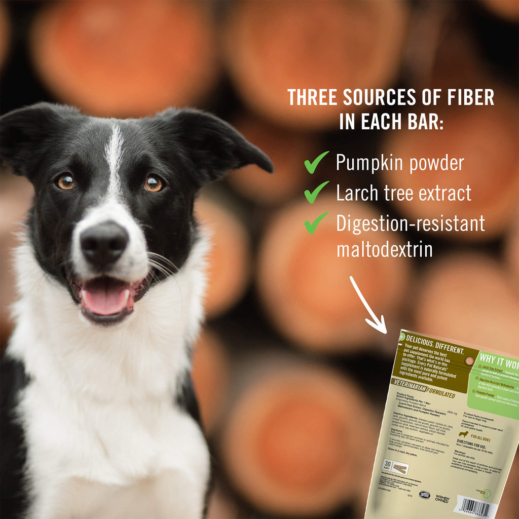 Pet Naturals Scoot Bars Anal Gland Support for Dogs | Only Natural Pet