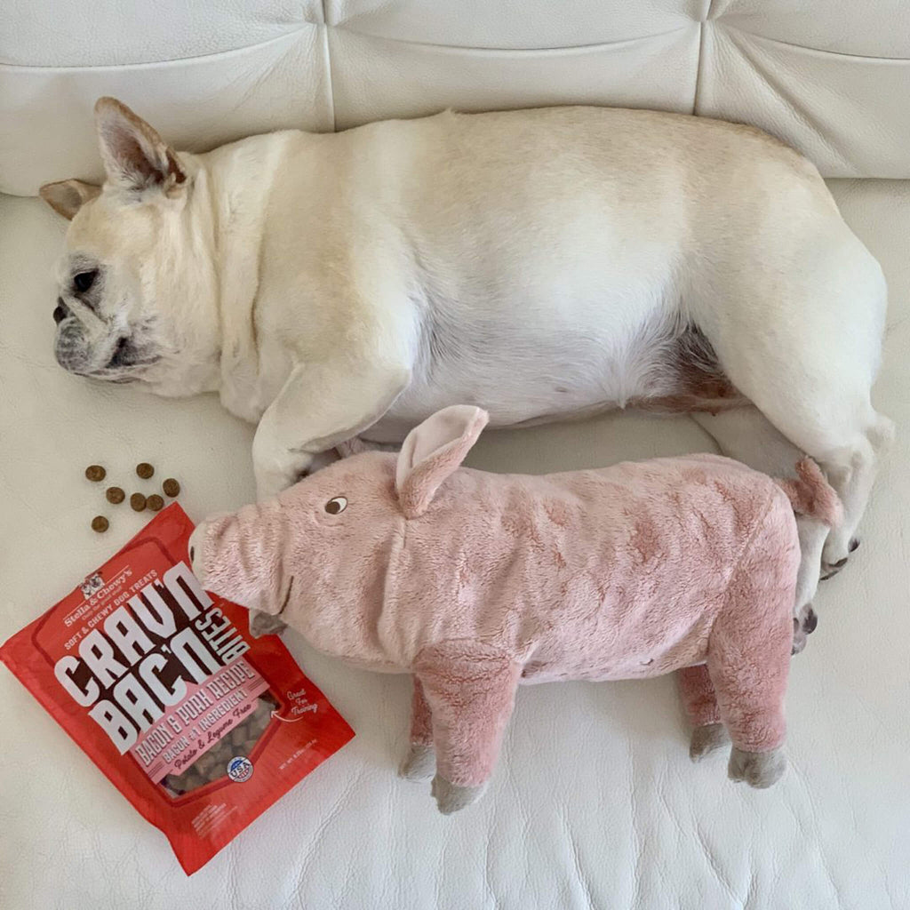 Stella & Chewy's Crav'n Bac'n Bites Dog Treats | Only Natural Pet