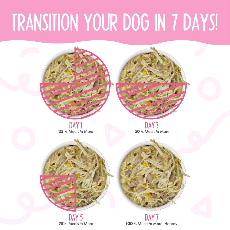 Weruva Meals 'n More Digestion Support Wet Dog Food | Only Natural Pet